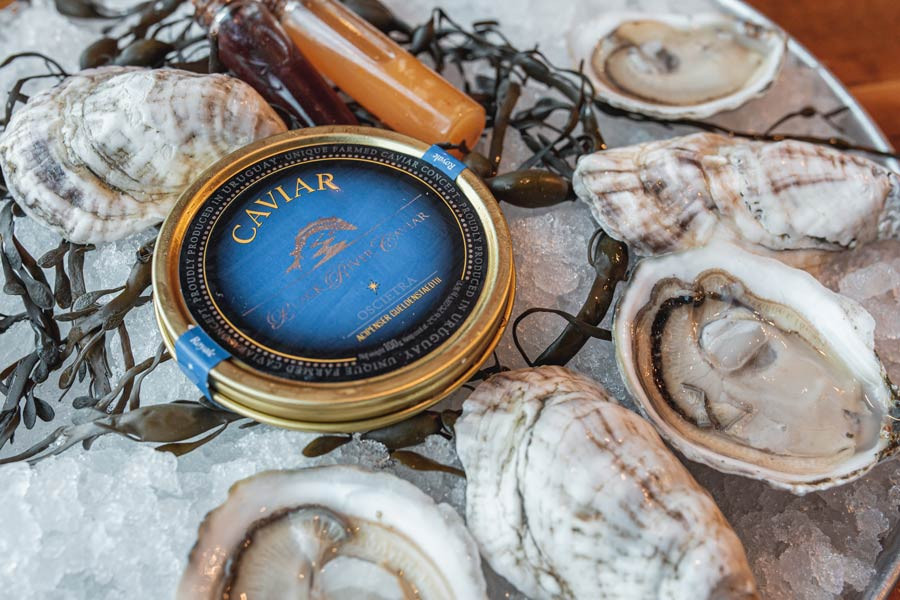Oyster & Caviar Starter Pack