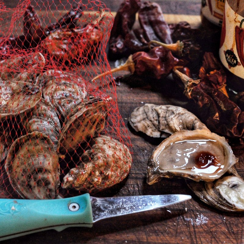 Hatch Meets New England